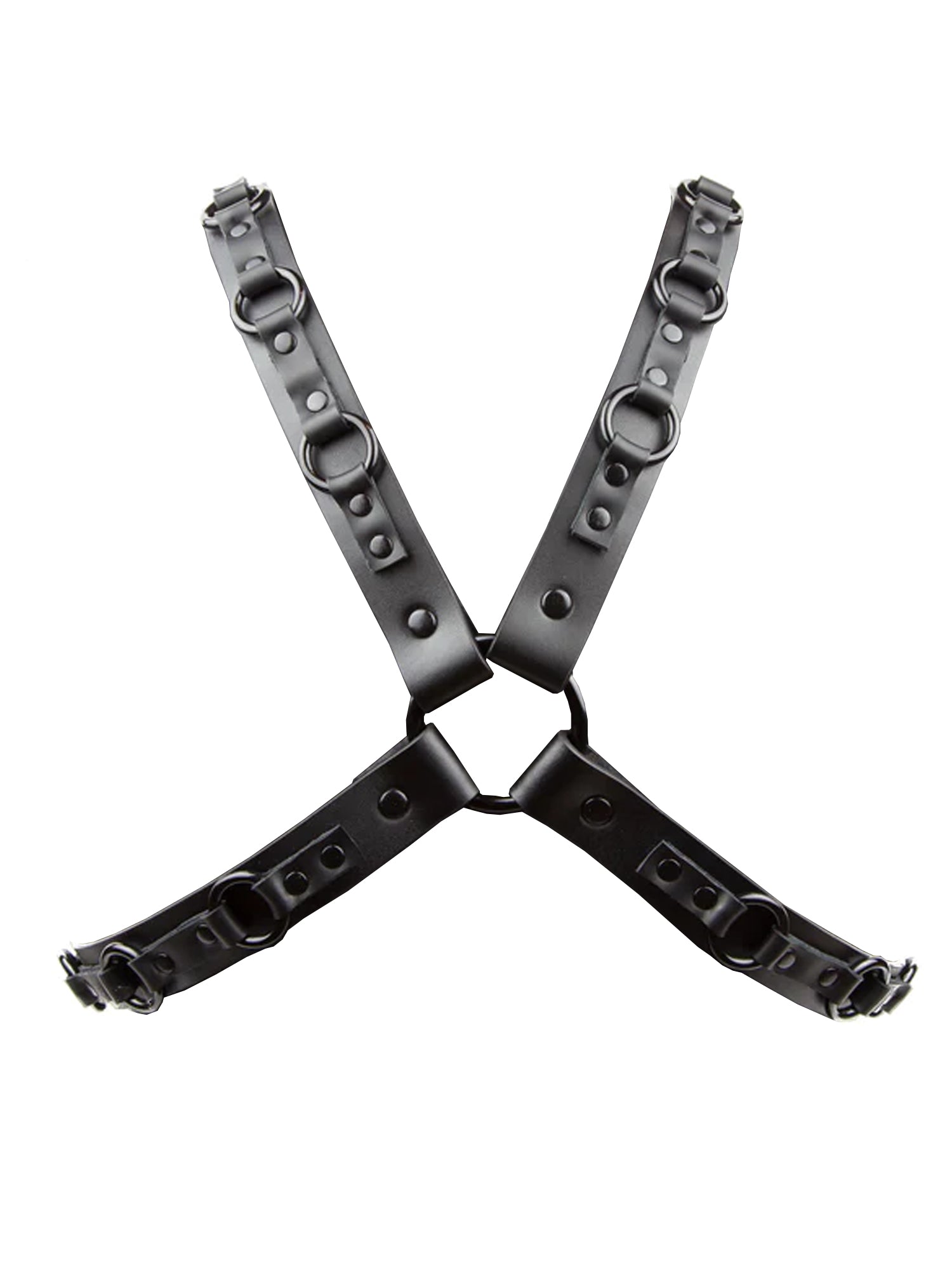 O Ring Leather Harness With Black Hardware – Skin Two UK