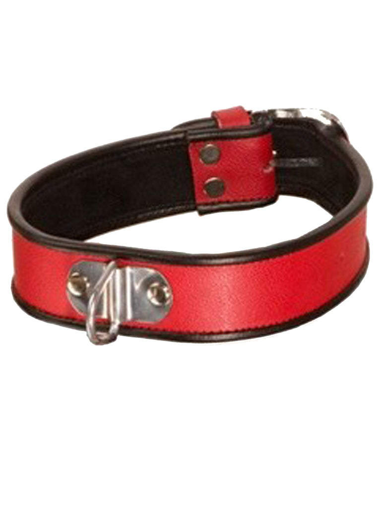 Leather D Ring Collar | Bondage Collars and Leads from Honour – Skin Two UK