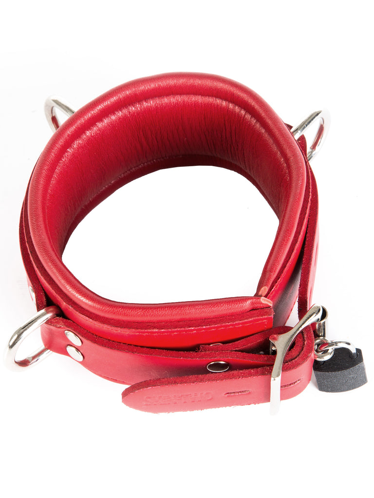Leather Deluxe Padded Collar in Red – Skin Two UK