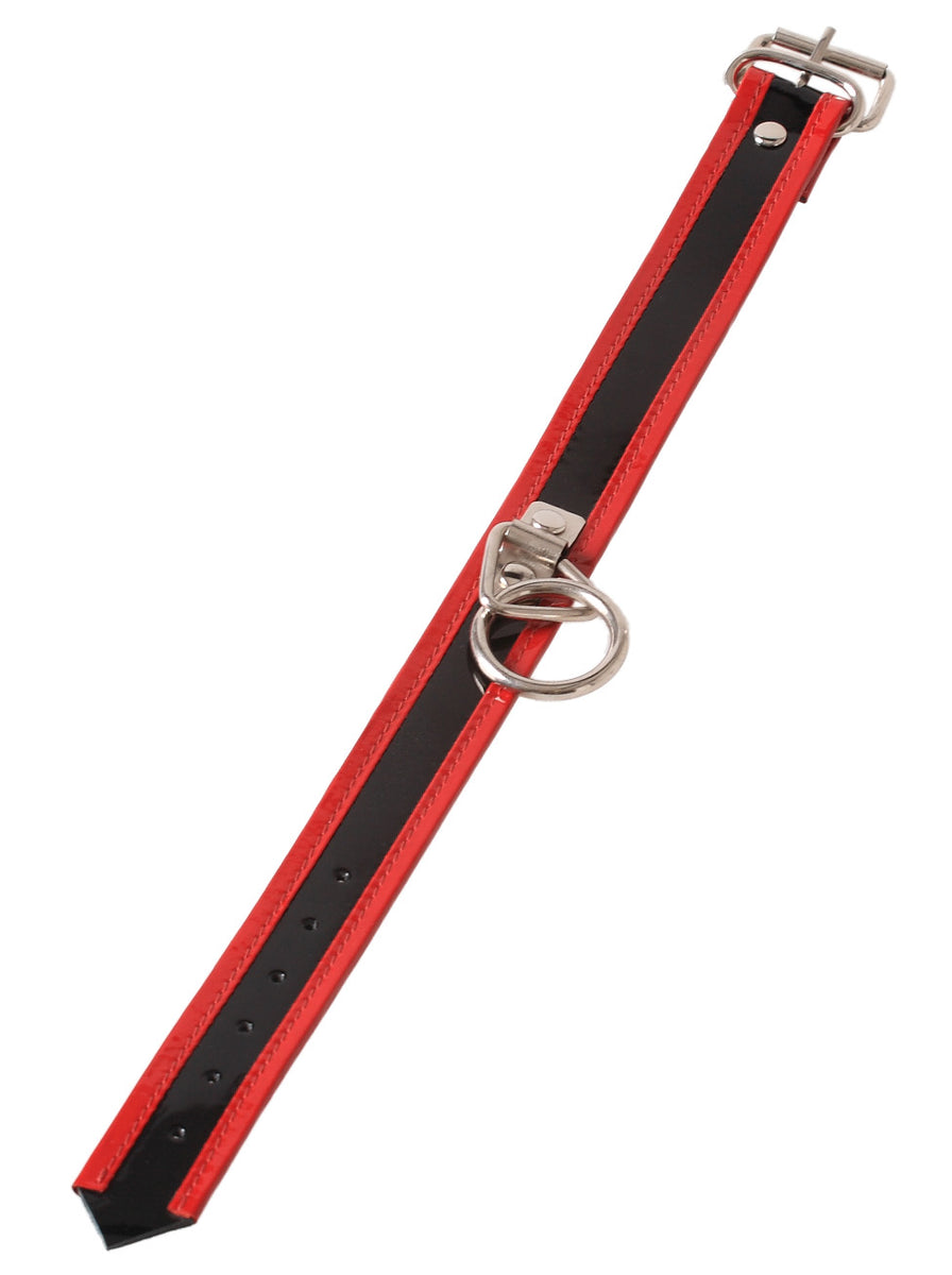 Leather Collar D-Ring O-Ring in Black with Red Piping – Skin Two UK