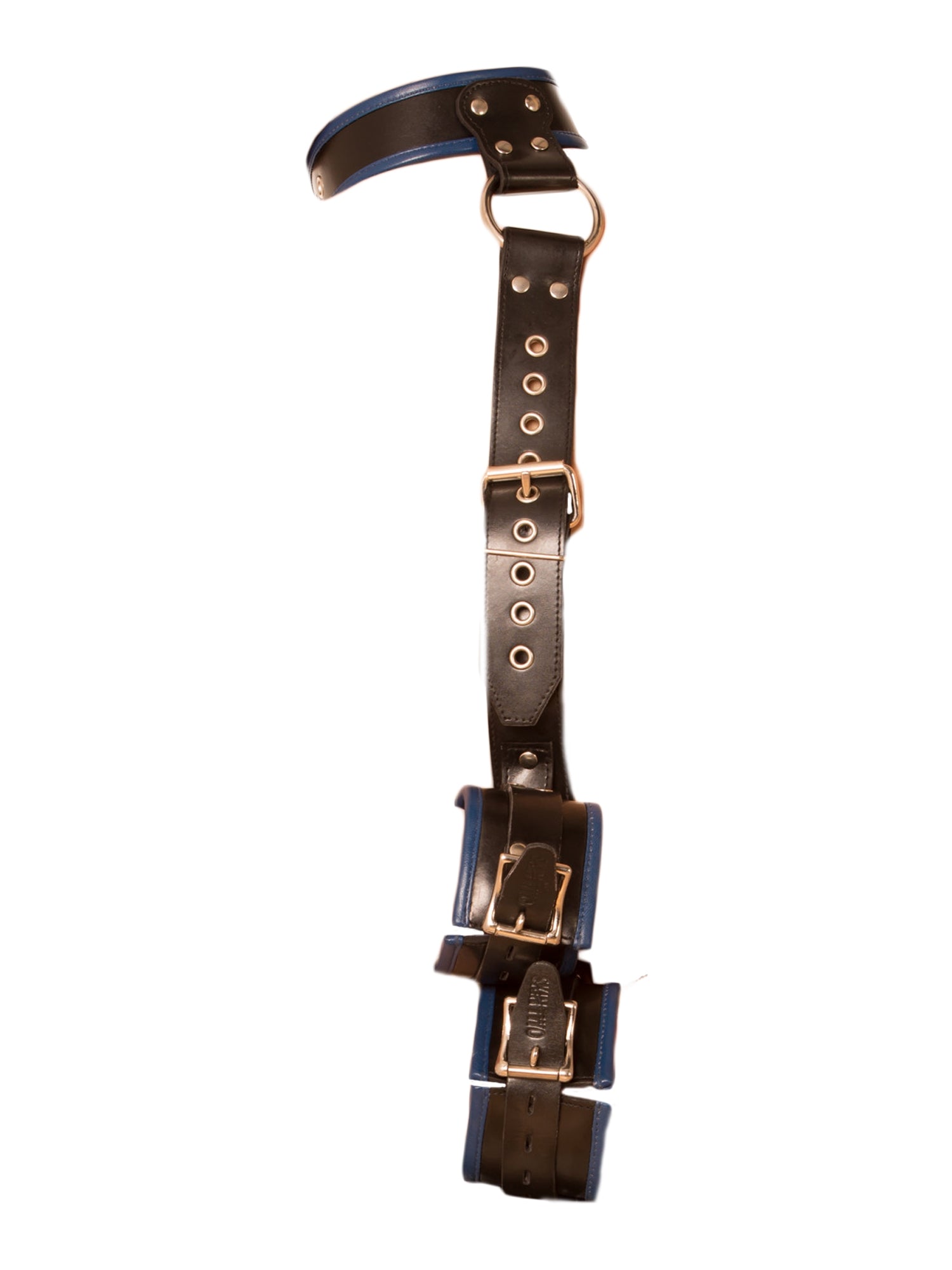 Rouge Garments Black & Blue Leather Neck To Wrist Restraint – Skin Two UK