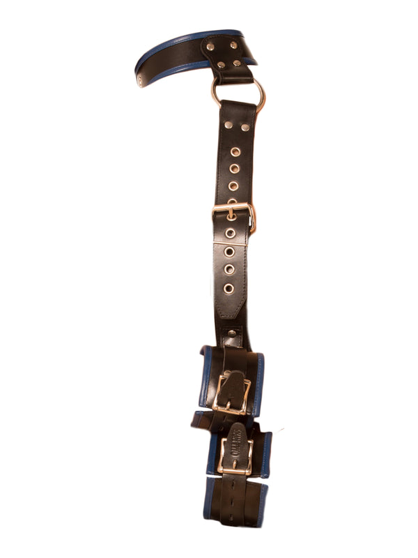 Rouge Garments Black & Blue Leather Neck To Wrist Restraint – Skin Two UK
