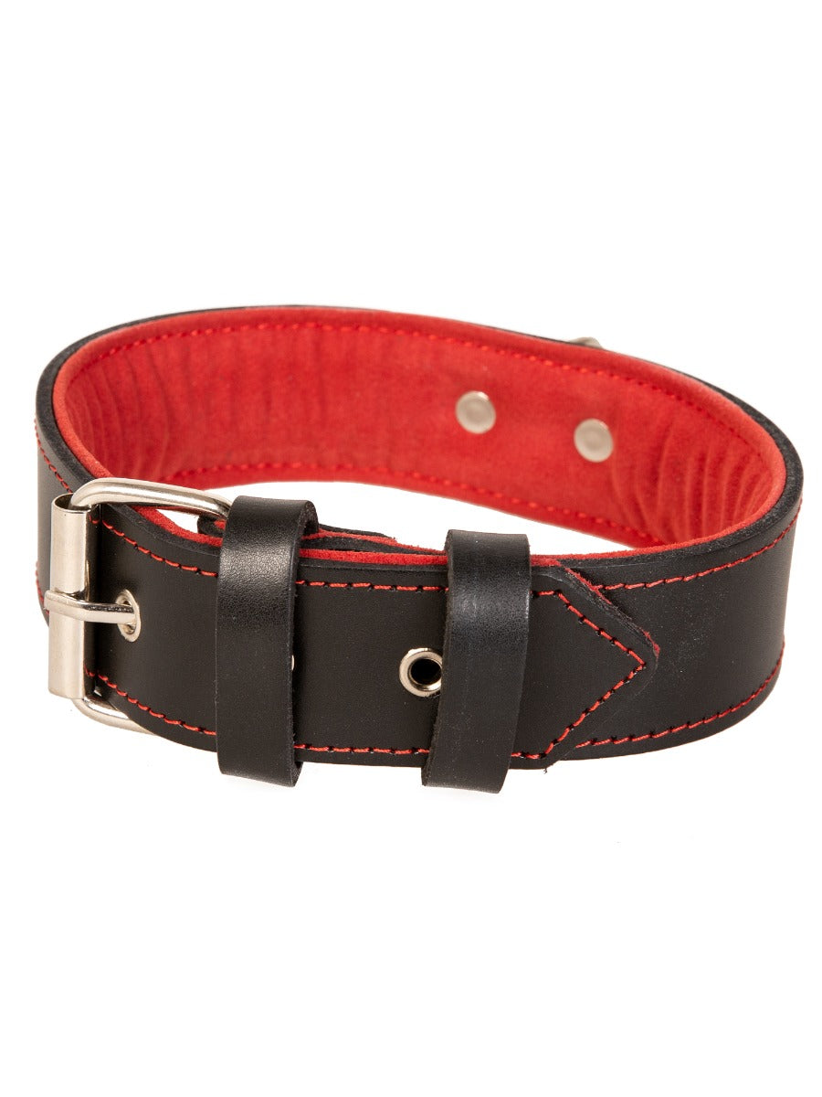 Red Trim Black Leather Collar With D Ring – Skin Two UK